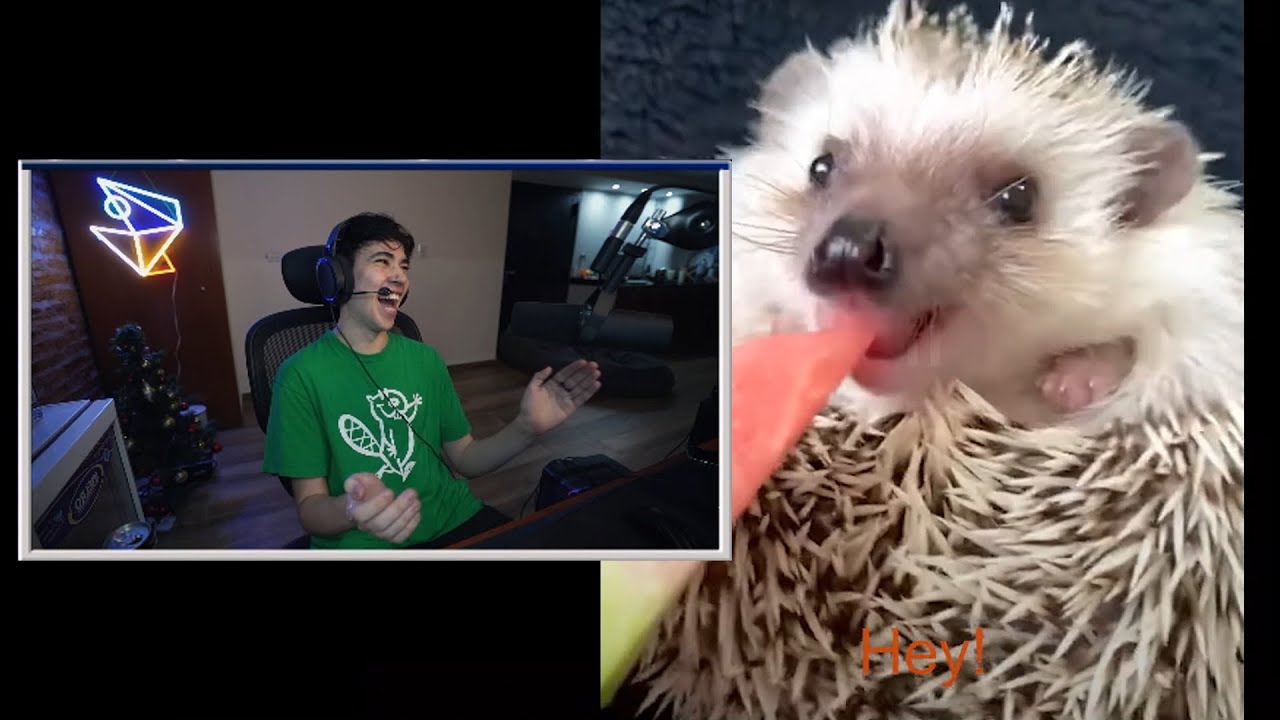 SPREEN VIENDO MEMES (PARTE 46) - YouTube