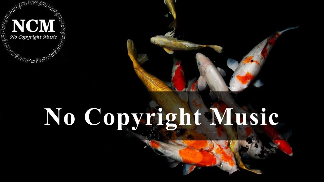No Copyright Music, Chinese musical instrument，erhu, study,focus, think ...