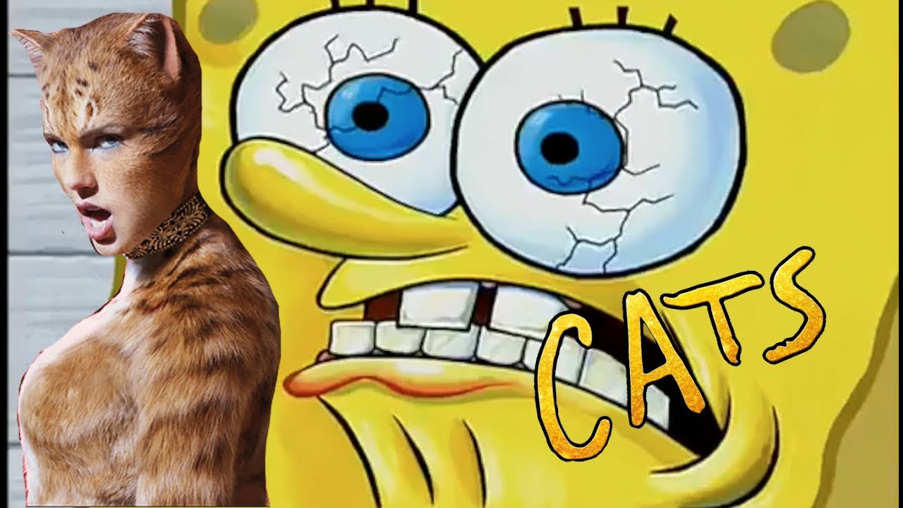 Spongebob CATS reaction - Scoutart MEME - YouTube