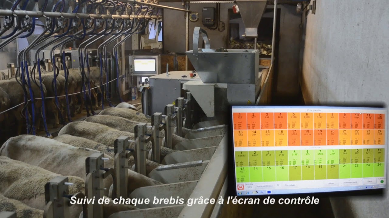 DISTRIBUTEUR AUTOMATIQUE DE CONCENTRES - YouTube