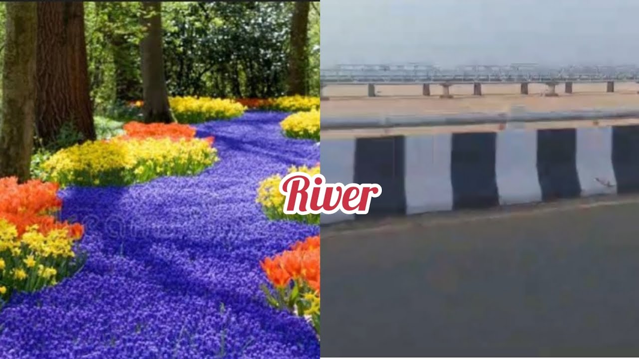 odisha longest river maha nadi 🏞🌊#viral #subscribe . - YouTube