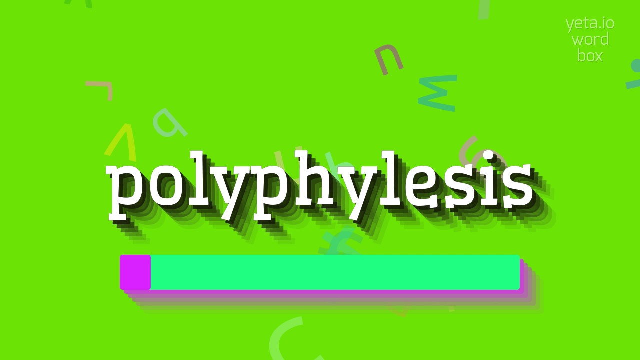 POLYPHYLESIS - Mind-Blowing Pronunciation of Polyphylesis Revealed! Is ...