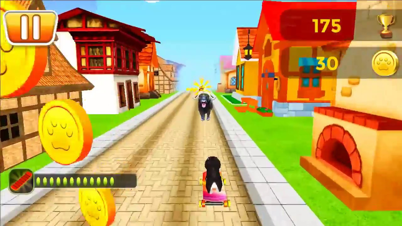 Pet Run Adventure 3 || Pet Runner - YouTube