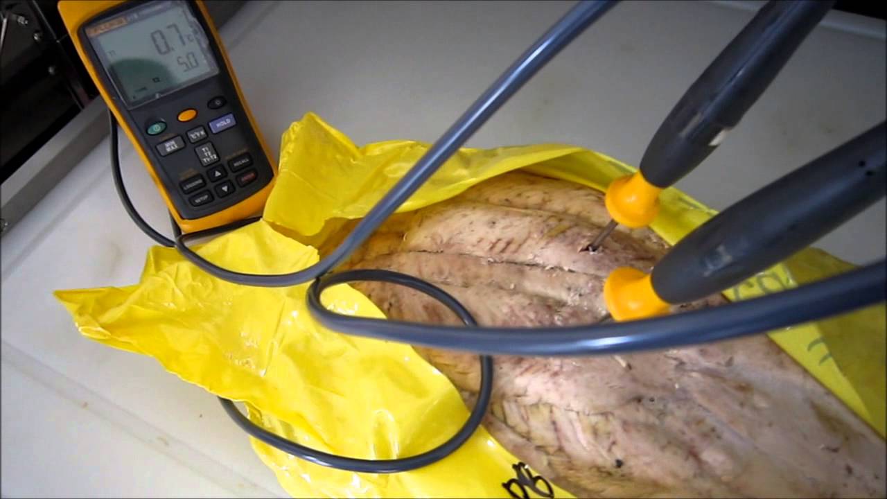 Tuna Loin Thawing (HF or RF Thawing) - YouTube