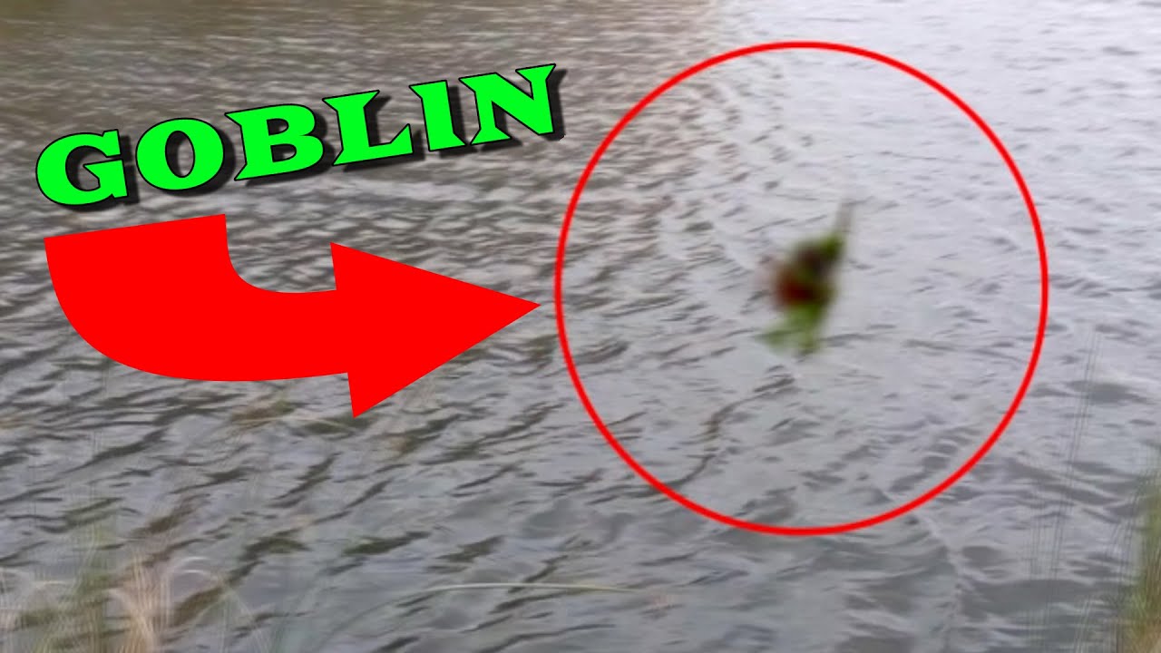 Top 5 REAL GOBLIN Sightings Actually Caught On Camera - YouTube