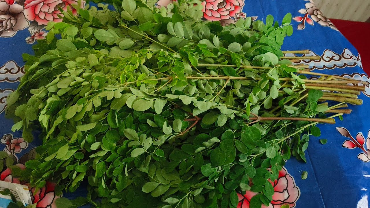 Tasty and Delicious Shojne Pata Bhaji Recipe - YouTube