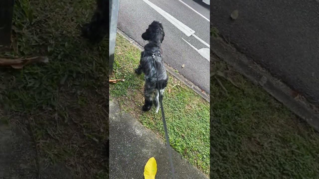 Lakbay sa Kahirapan //richelle loria is live sunday ot ky fur baby mila ...
