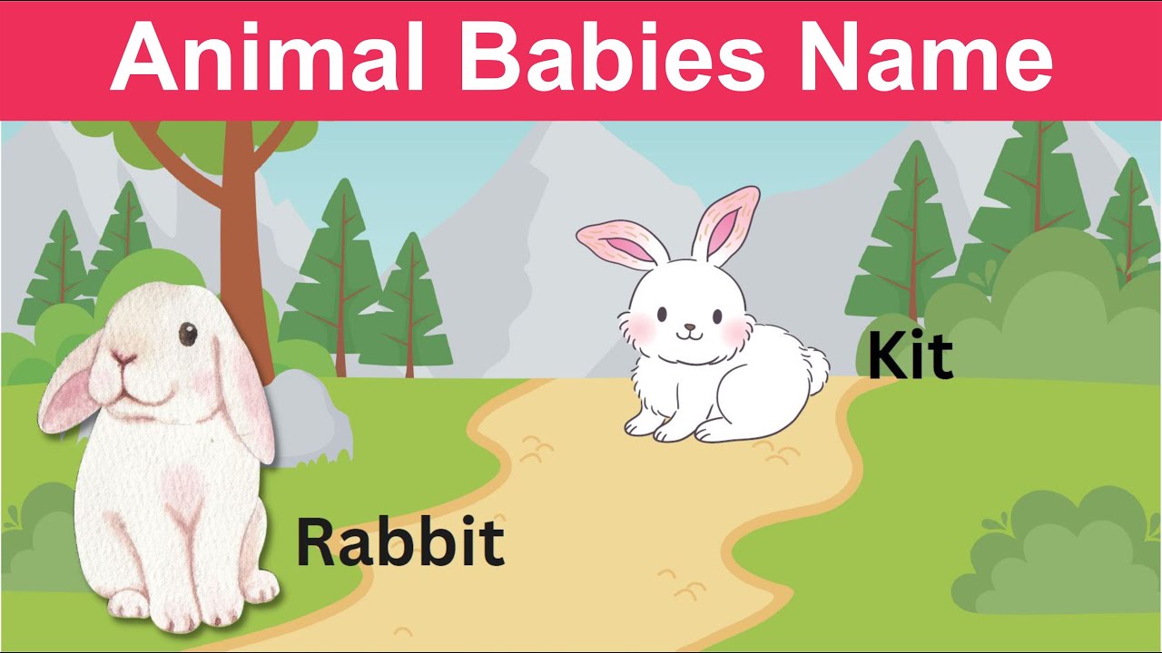 Animals and their Young Ones | Animals and their Babies | Baby Animals ...