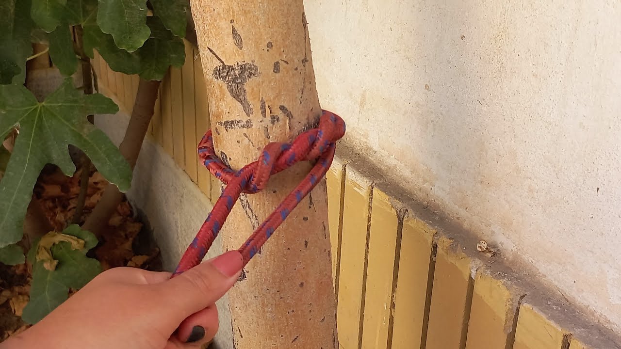 knotting method : $10,000 knot training - YouTube