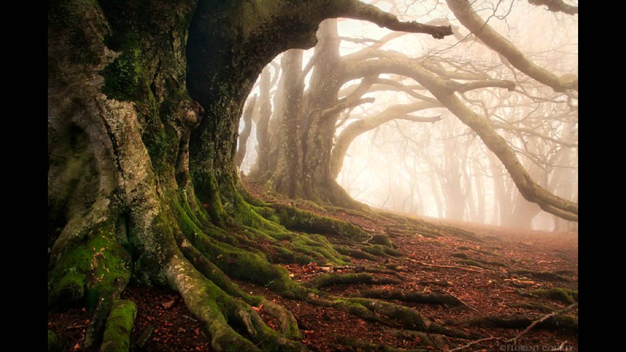 Jeff Pearce and Vidna Obmana - Opening Theme [HQ] - YouTube