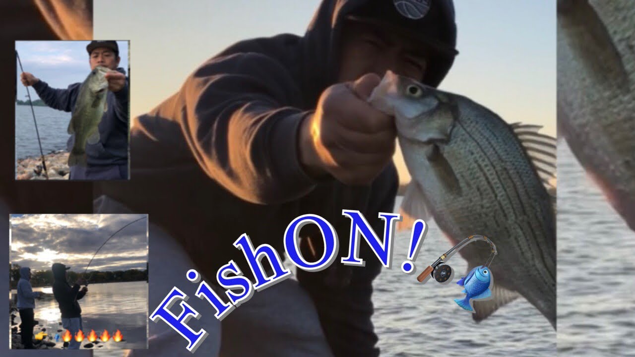 Fishing Video! Short Clips of My Fishing Trip At Our Beautiful Lake of ...