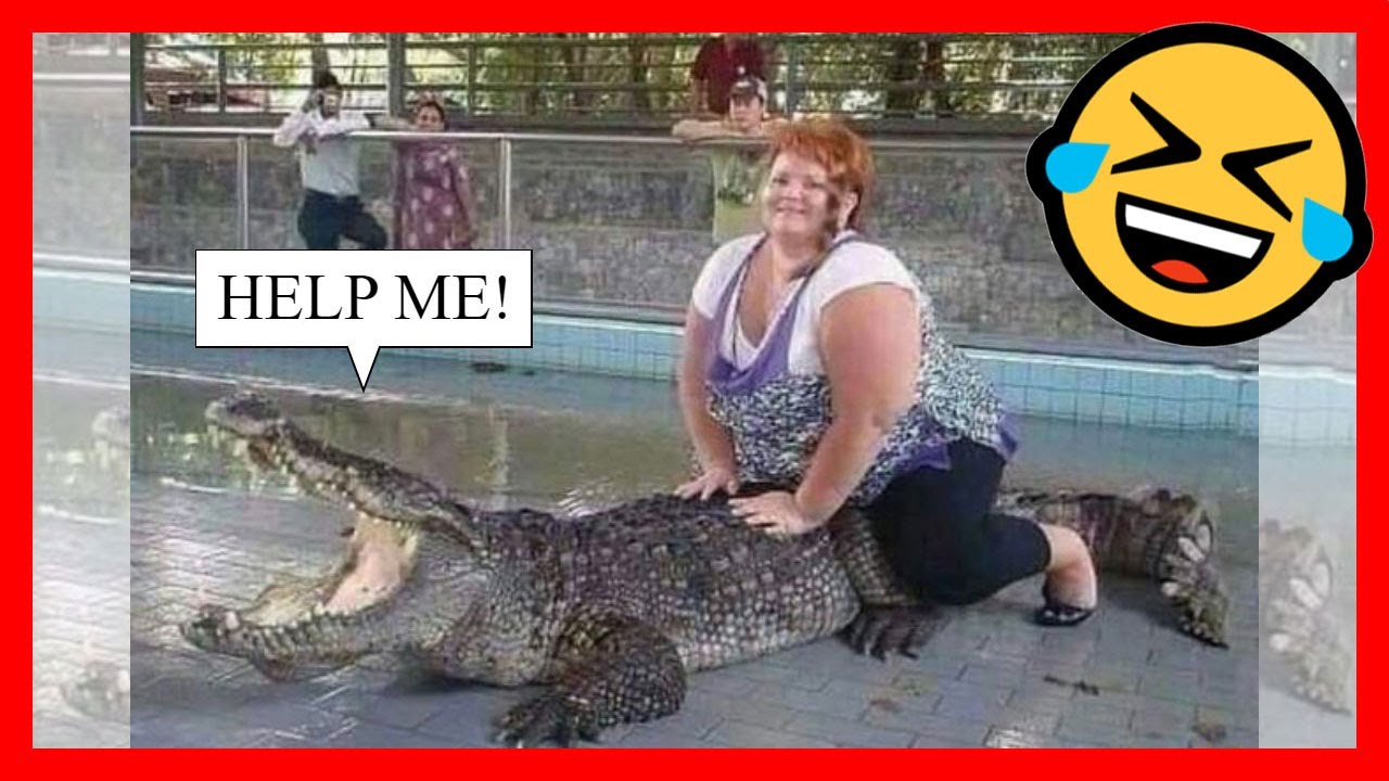 A Day at the Zoo (Animal Memes 2021-2022) - YouTube