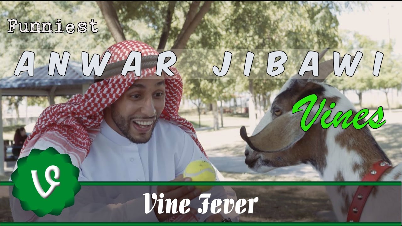 Anwar Jibawi Vine Compilation Anwar Jibawi Best Vines Compilation