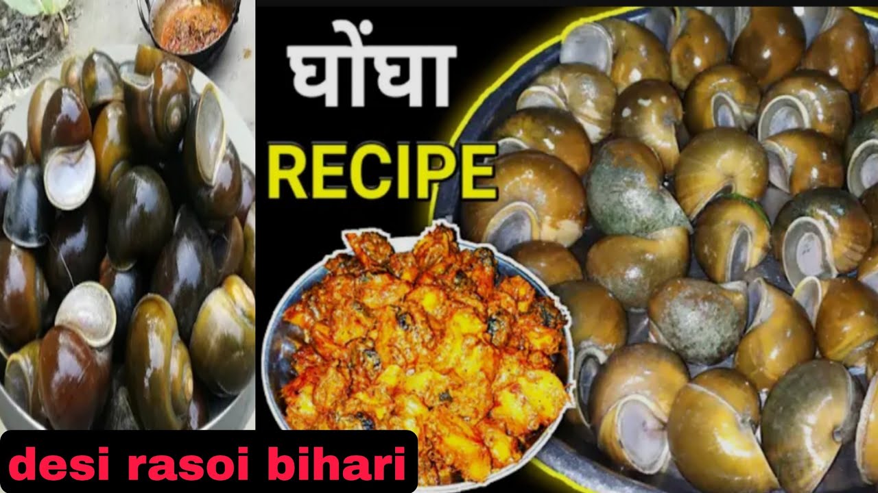 Healthy snail cooking and eating recipe ।ghonga kaise banaye ।घोघा ...