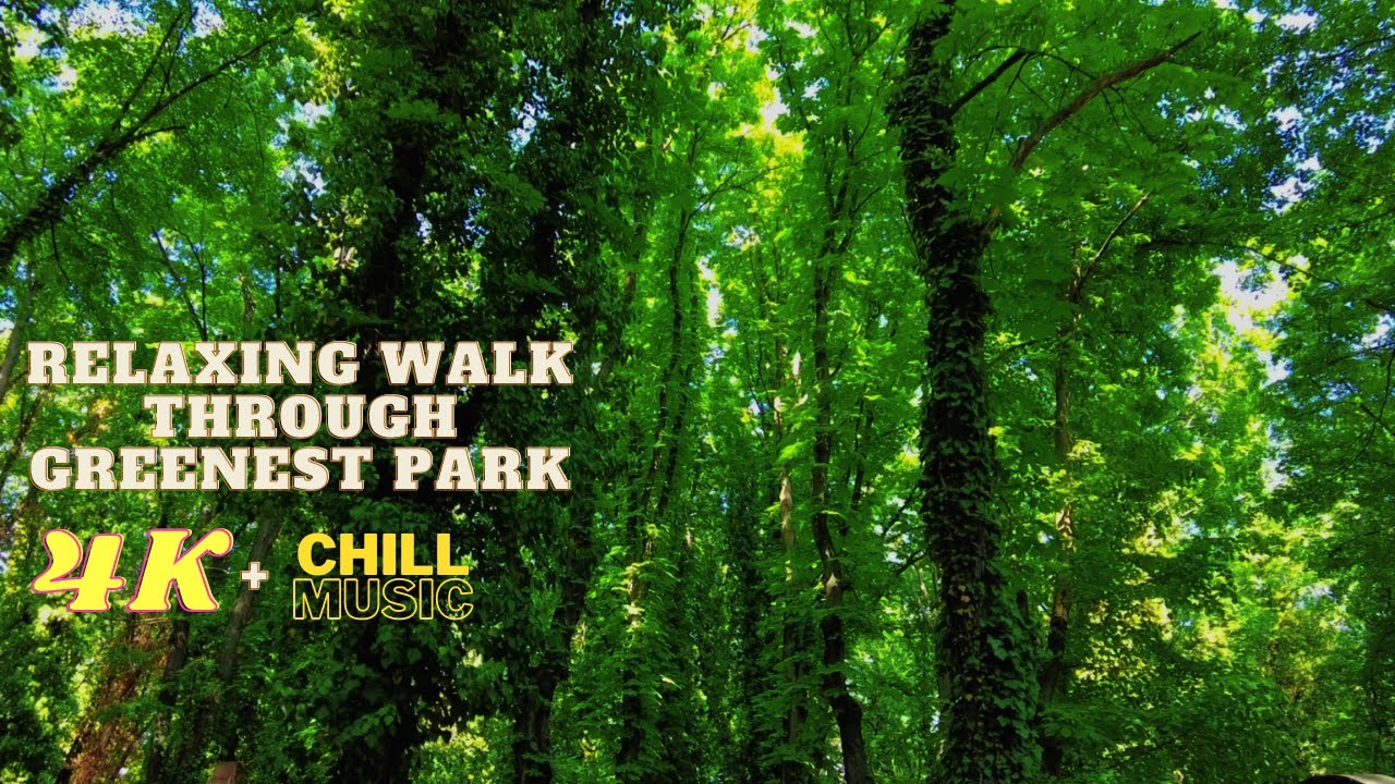 Walking Through the Greenest Park - A Relaxing Nature Walk in 4K [Short ...