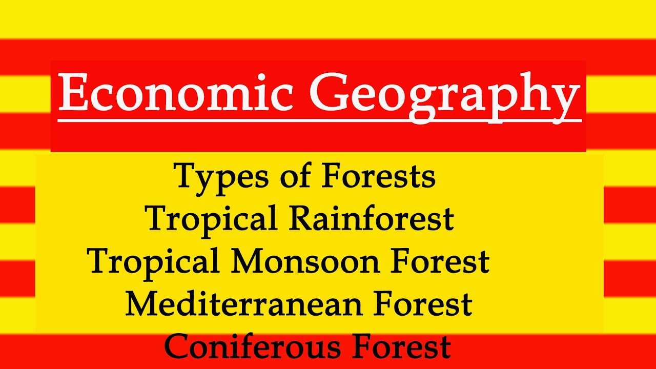 Types of Forests l Tropical Rainforest and Monsoon Forest l ...