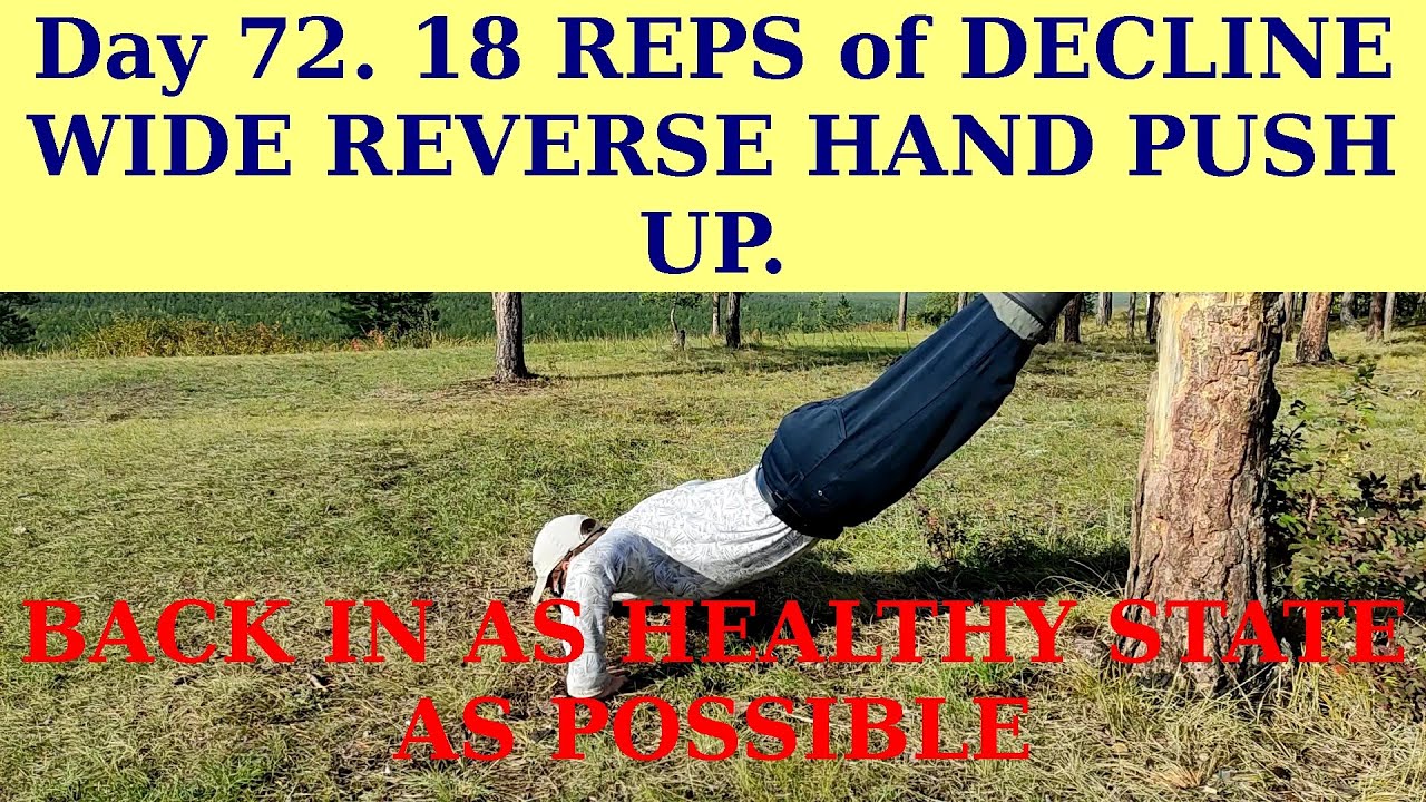 Day 72. 18 REPS of DECLINE WIDE REVERSE HAND PUSH UP. BACK IN AS ...