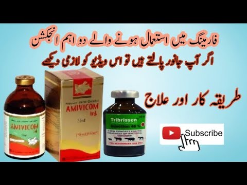 many problems solution two injection | Use Of Tribrissen & Vicom ...