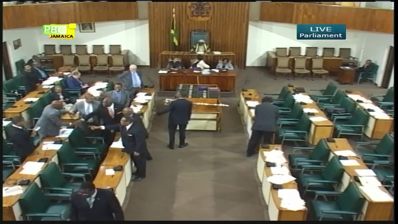Sitting of the House of Representatives - February 4, 2020 - YouTube