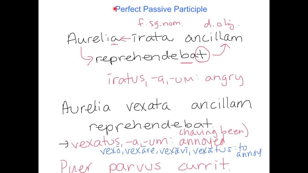 Perfect Passive Participle YouTube perfect-passive-participle-youtube