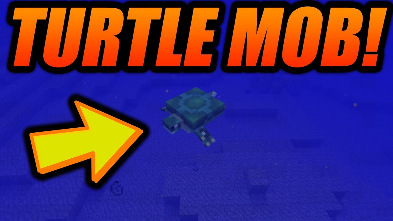 NEW TURTLE MOB CONFIRMED COMING IN MINECRAFT 1.131.14 - MINECRAFT ...