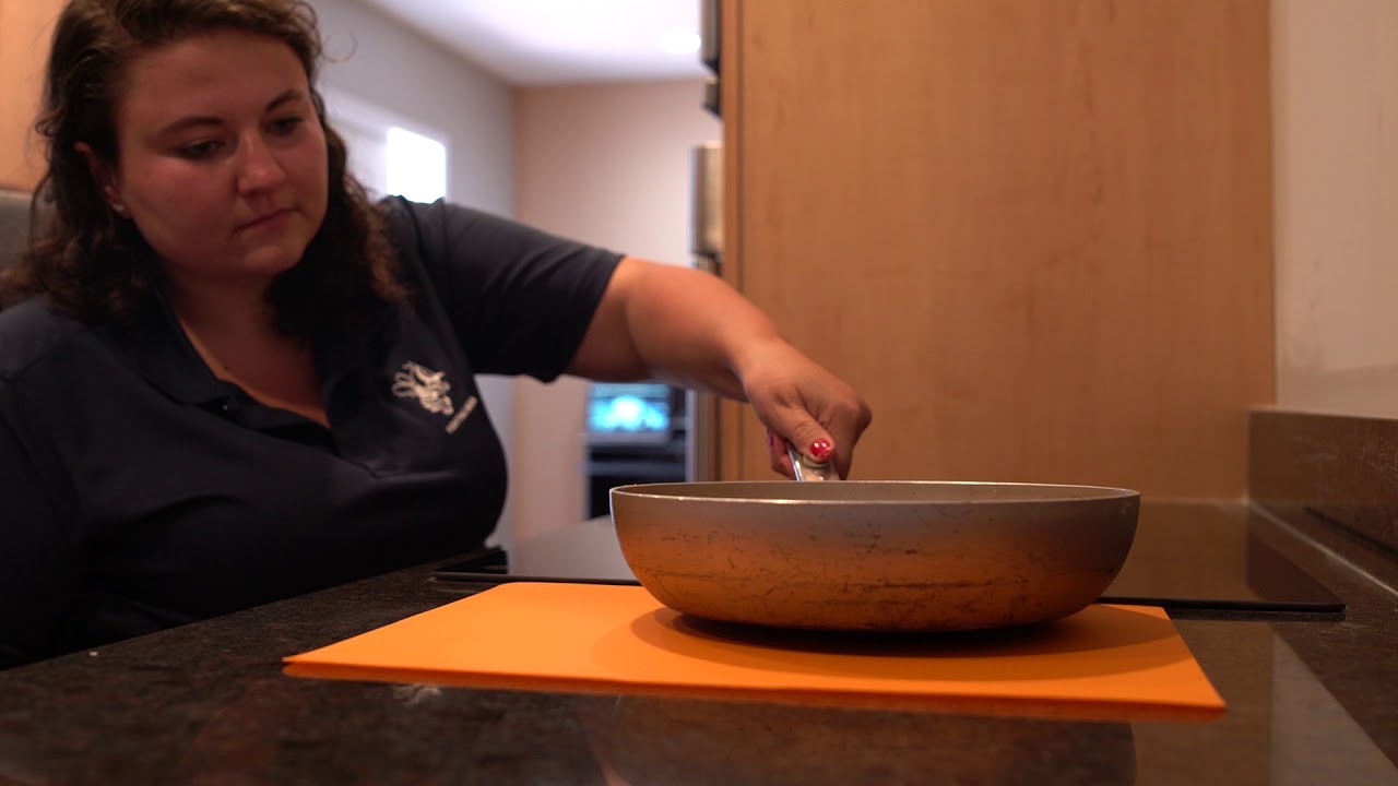 Kitchen Electric Induction Stove - Assistive Technology St. Ambrose ...