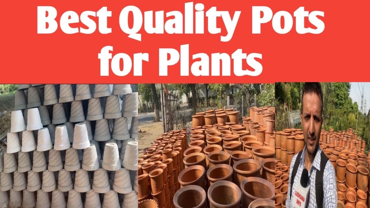 Best Quality Pots for Plants are available here - YouTube
