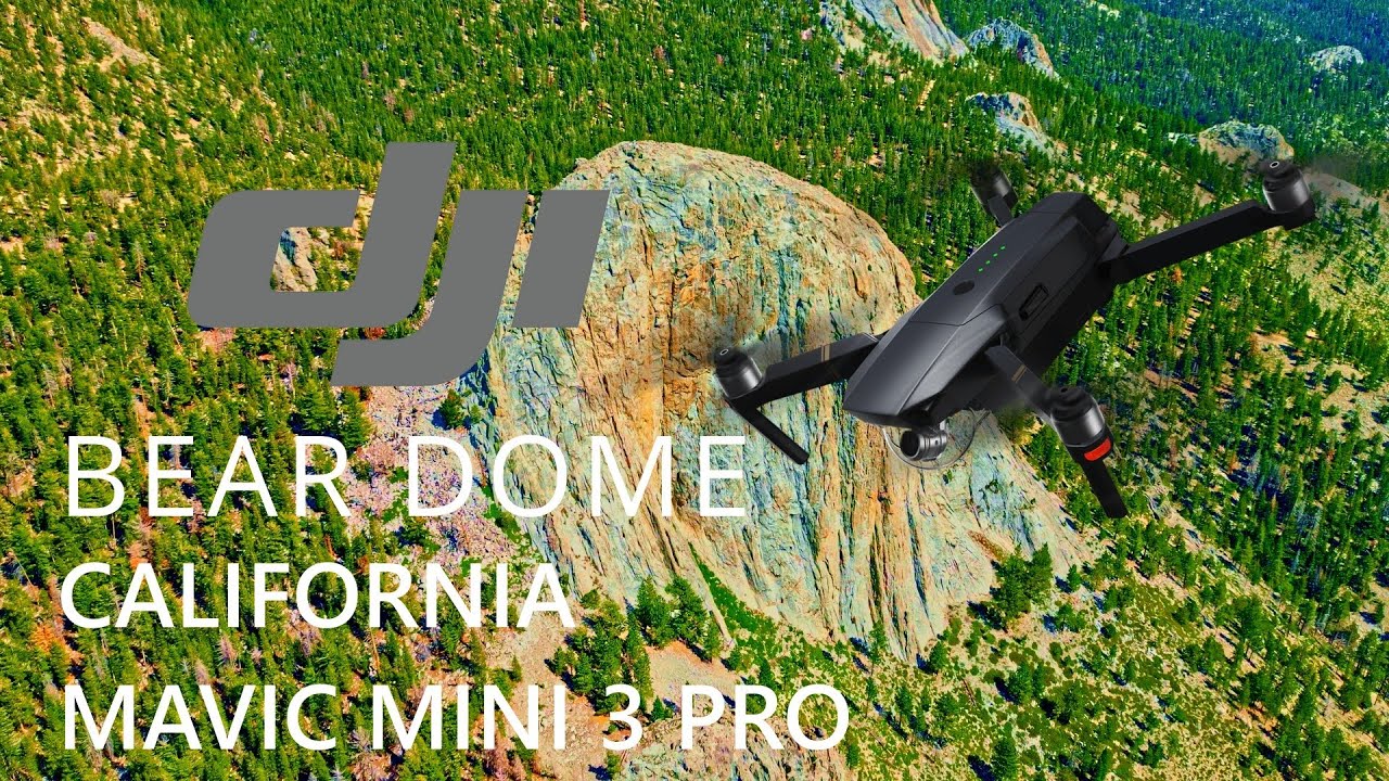 Bear Dome Compilation, Mavic Mini 3 Pro - YouTube