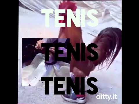 Una gallina con tenis cortándole el pelo a un macaco - YouTube