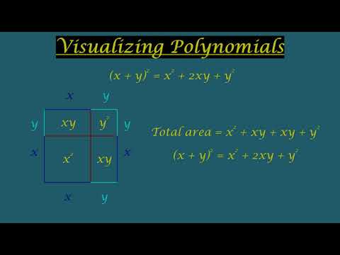 Visualizing Polynomials || Polynomials || Class 10 || O. Maths - YouTube