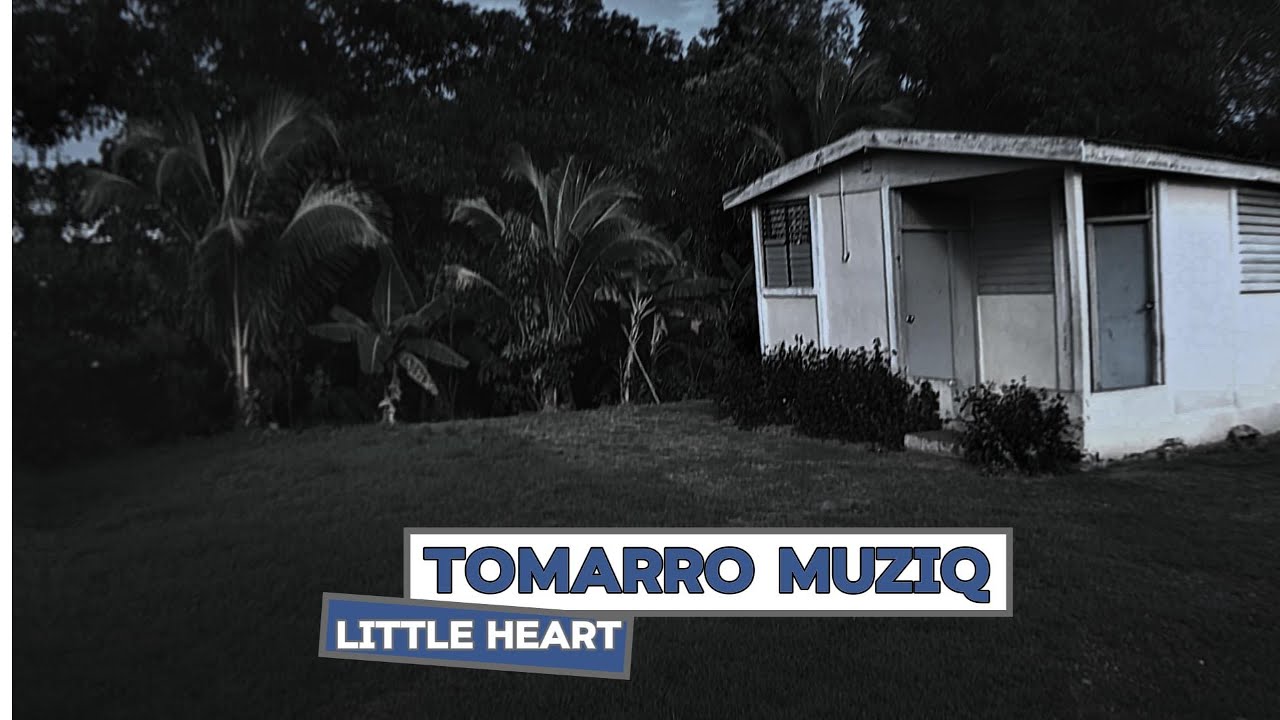 Tomarro Muziq – Little Heart (Official Music Video) - YouTube