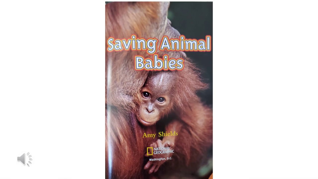 "Saving Animal Babies" read by Ms. Julie - YouTube