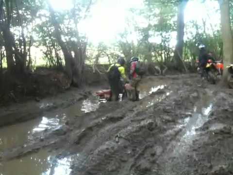 James' mud bath - YouTube