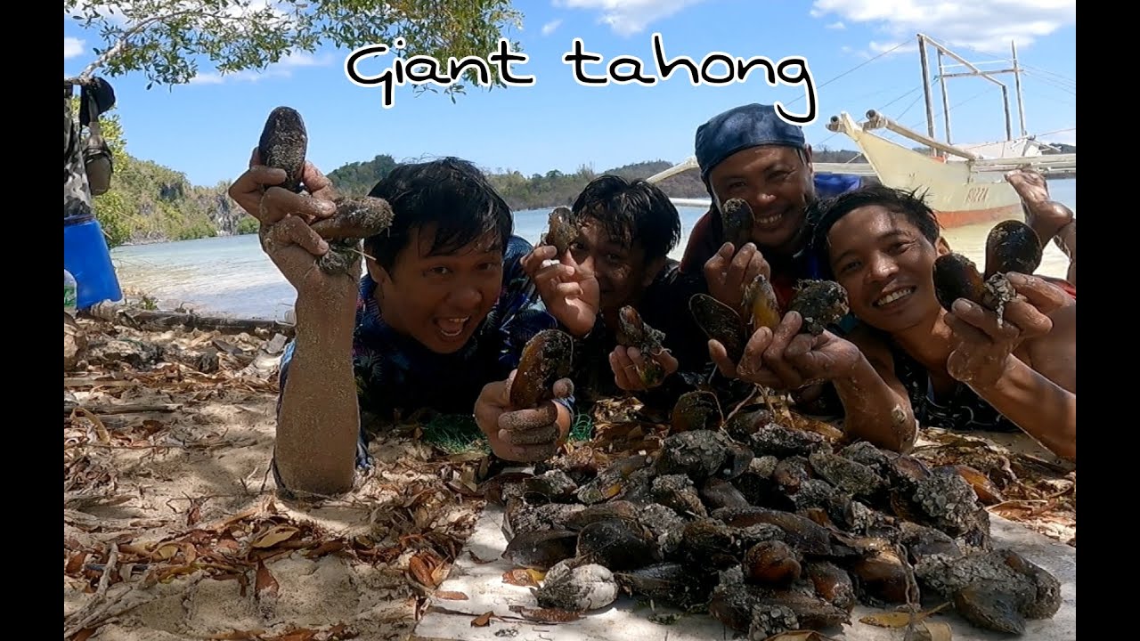 Giant tahong sa isla ambulong | @cedkavlog2879 @lourencetv4069 | catch ...