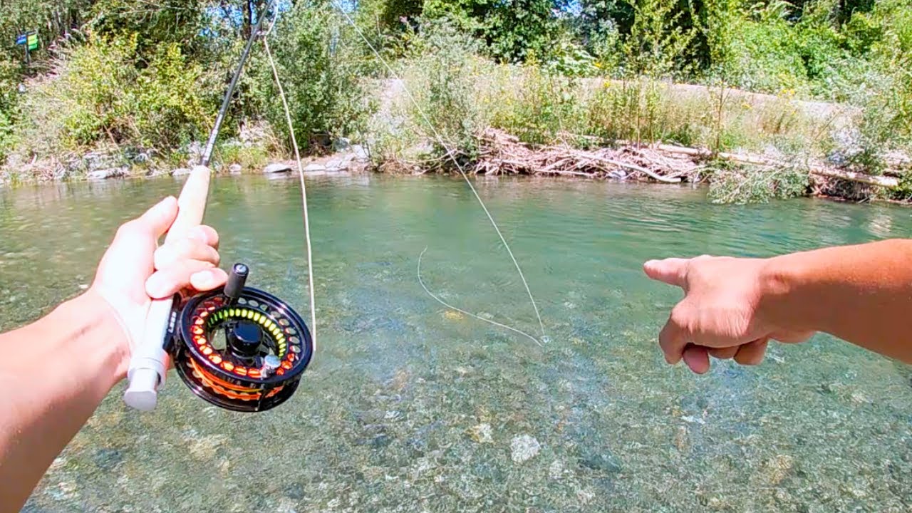 Dry Fly Fishing in CRYSTAL CLEAR Water! Ultralight 2WT(Vedder River ...