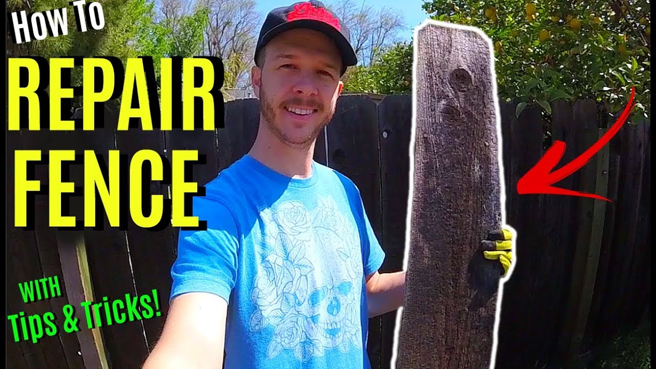 How To Fix your Damaged or Broken Fence -Jonny DIY - YouTube