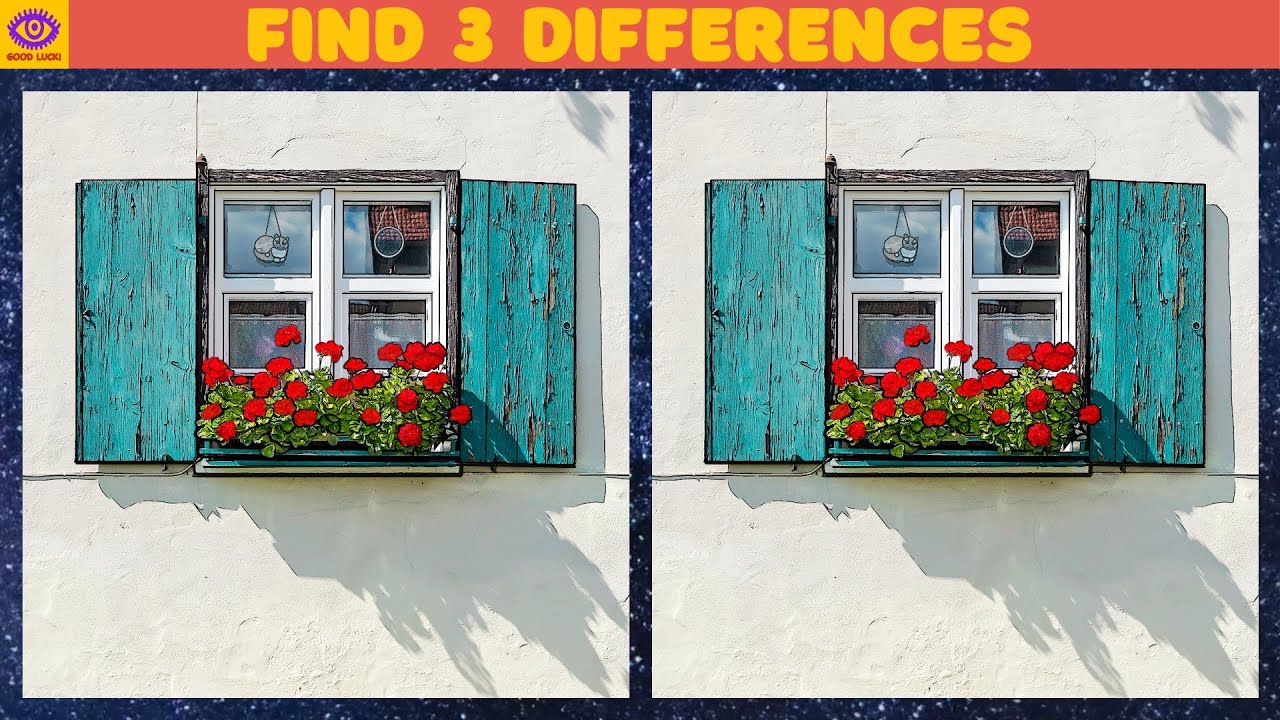 [Find the Difference] Puzzle Game - Part 315 - YouTube
