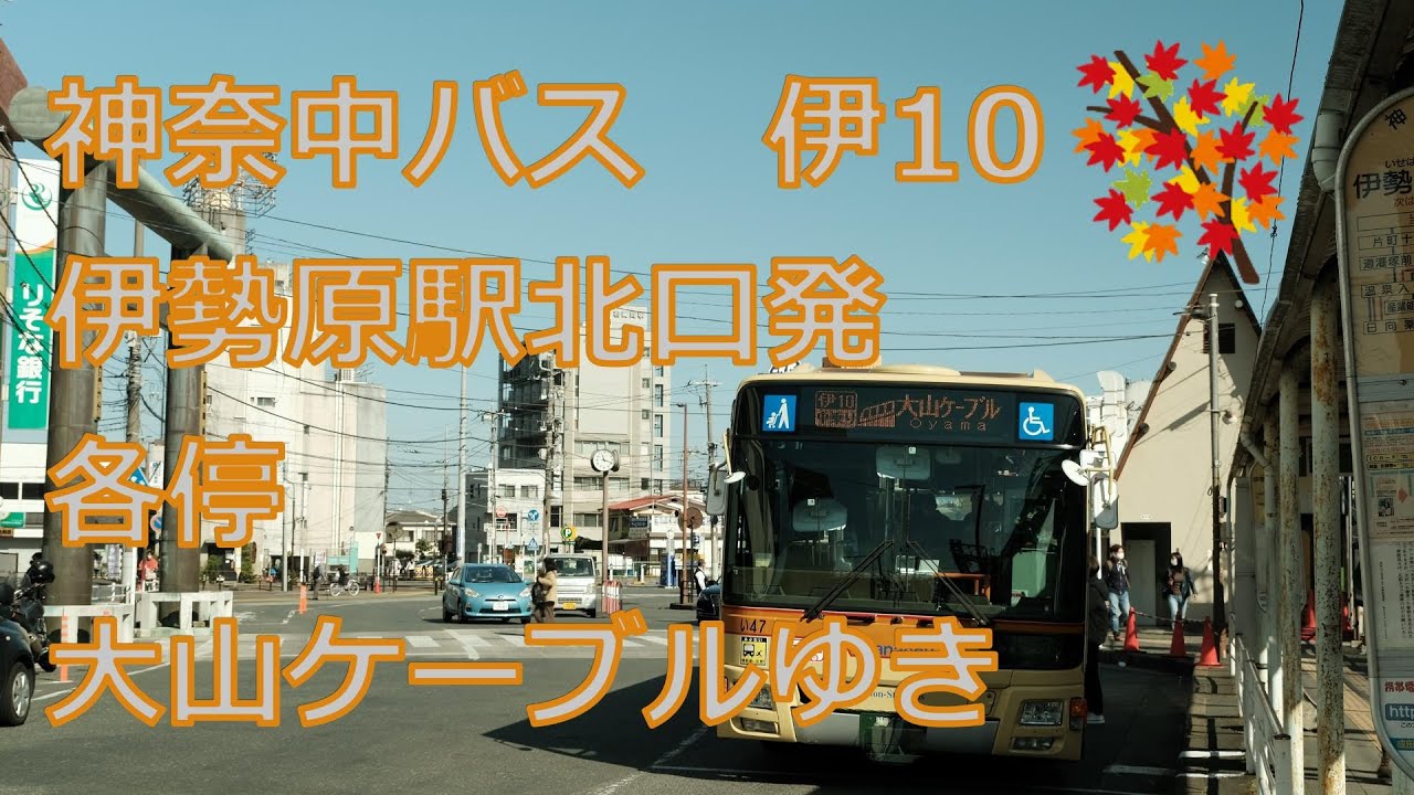 【紅葉】神奈中バス伊10系統 各停 大山ケーブルゆき【4K 前面展望】(bus cab view)kanachu bus isehara 10 ...