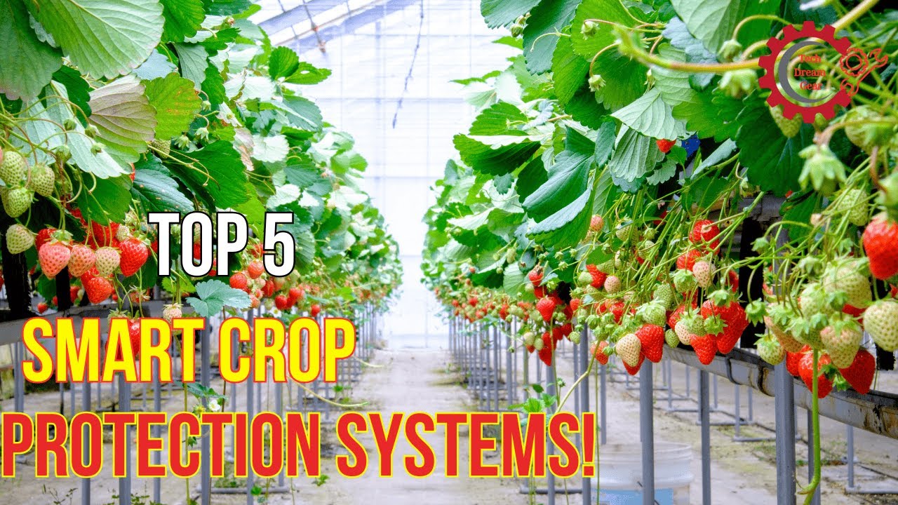 Top 5 Automated Crop Protection Solutions for Modern Farmers - YouTube