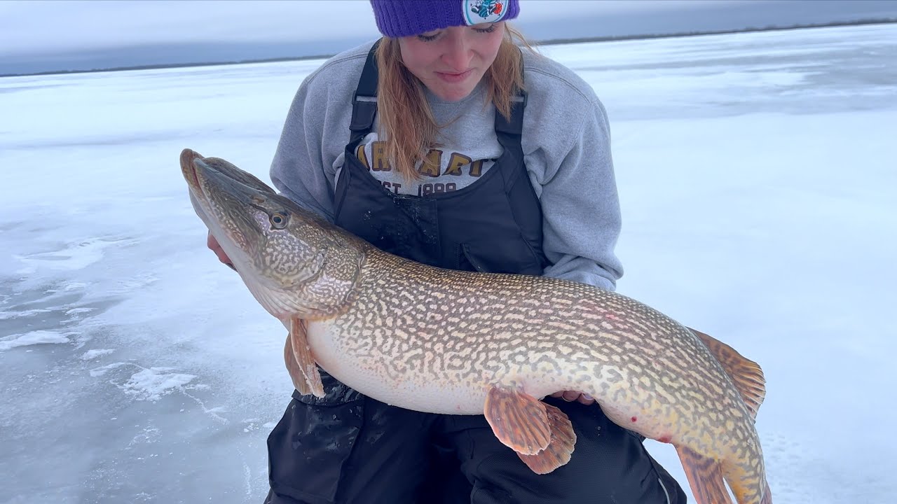 She pulls up a 30lb NORTHERN PIKE! - YouTube