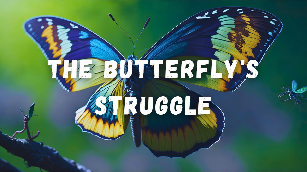 "The Butterfly's Struggle" - YouTube