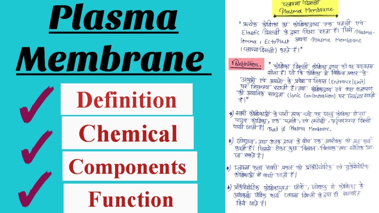 Chemical Composition And chemical-composition-and