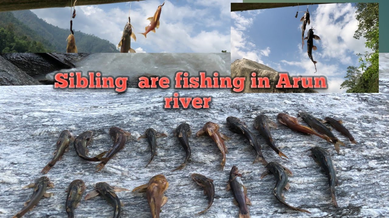 Sibling are fishing🦈🐠🐟️ in Arun river🏞️ - YouTube
