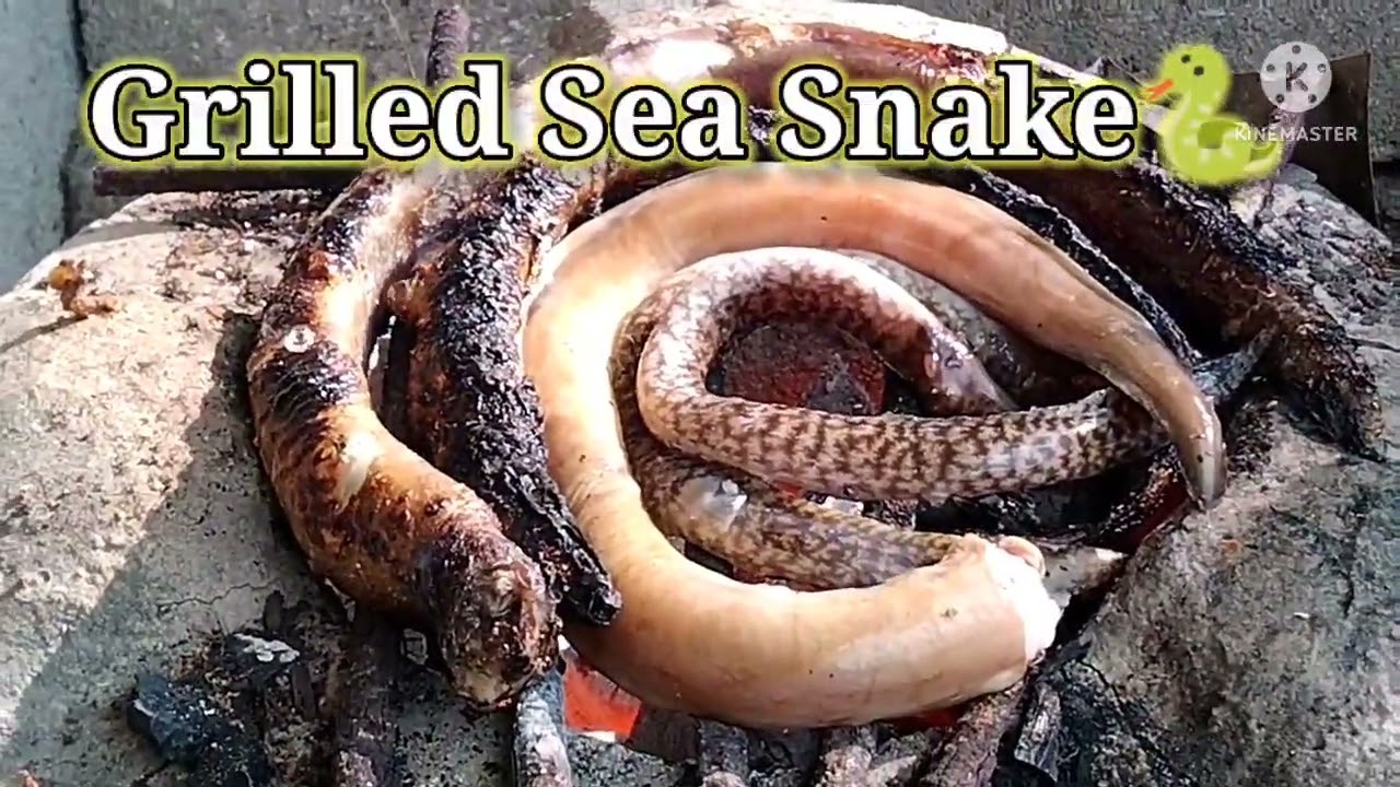 Grilled Snake