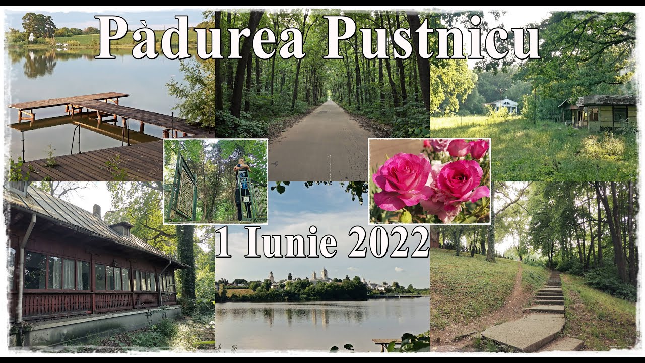 Padurea Pustnicu - Prezent si Trecut - YouTube