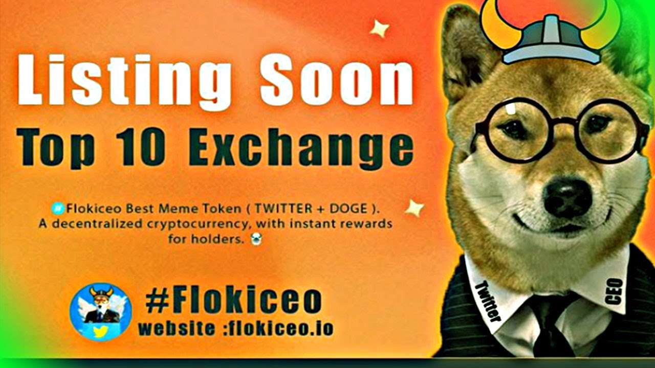 🟢 FLOKICEO EM: BREVE NOVIDADES ANUNCIADA !! - YouTube