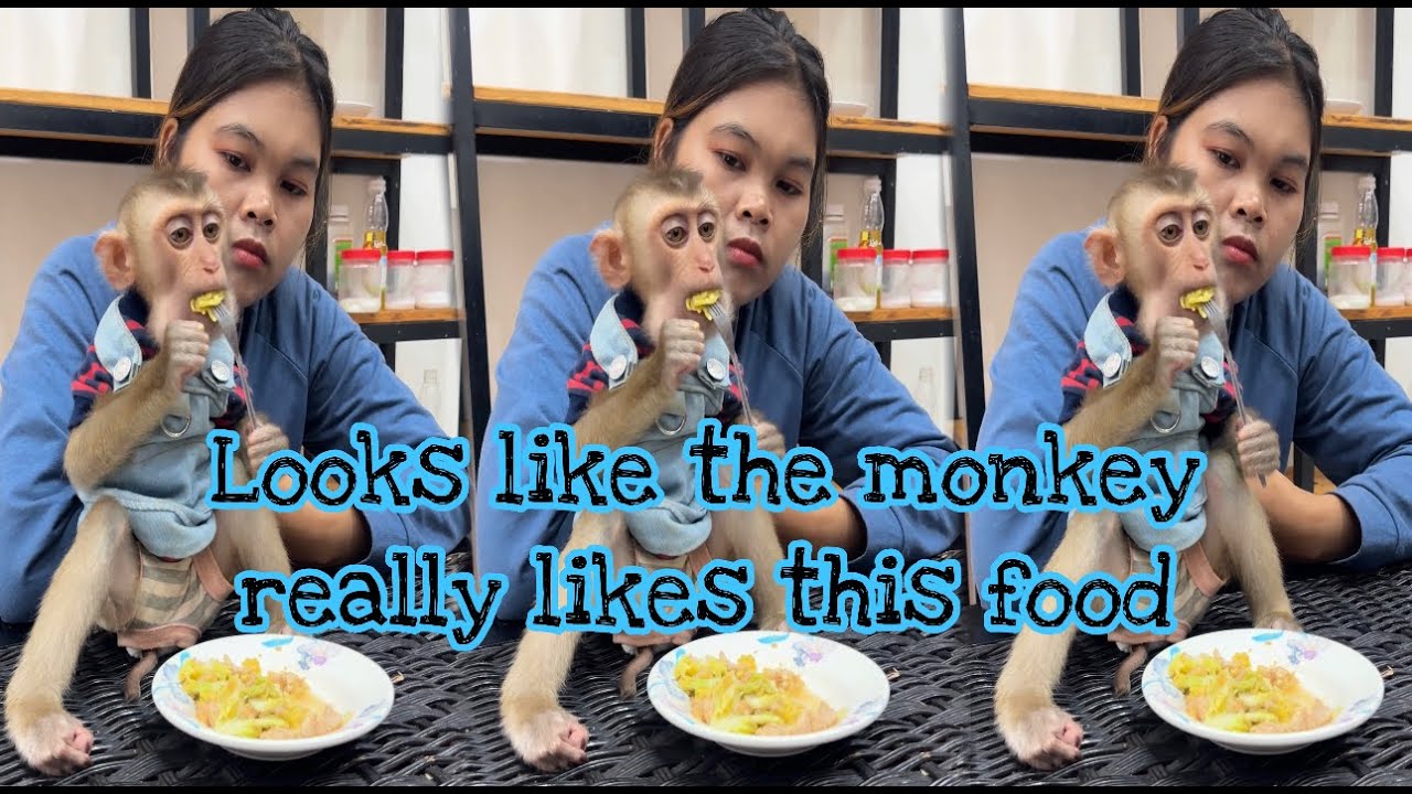 Looks Like The Monkey Really Likes This Food - YouTube