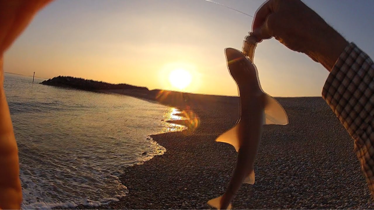 Spring Surf Fishing Tips - Tides, Bait, Tackle & Tactics! - YouTube