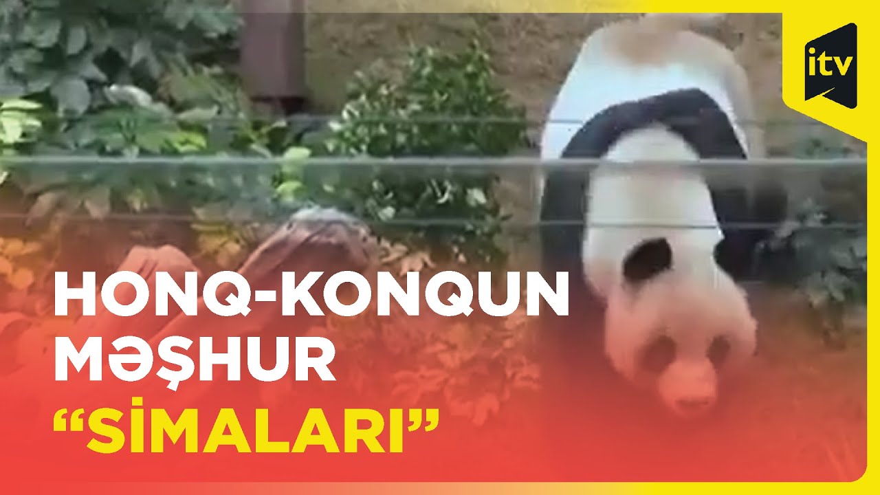Honq-Konqun məşhur “simaları” ictimaiyyətə təqdim olunub - YouTube