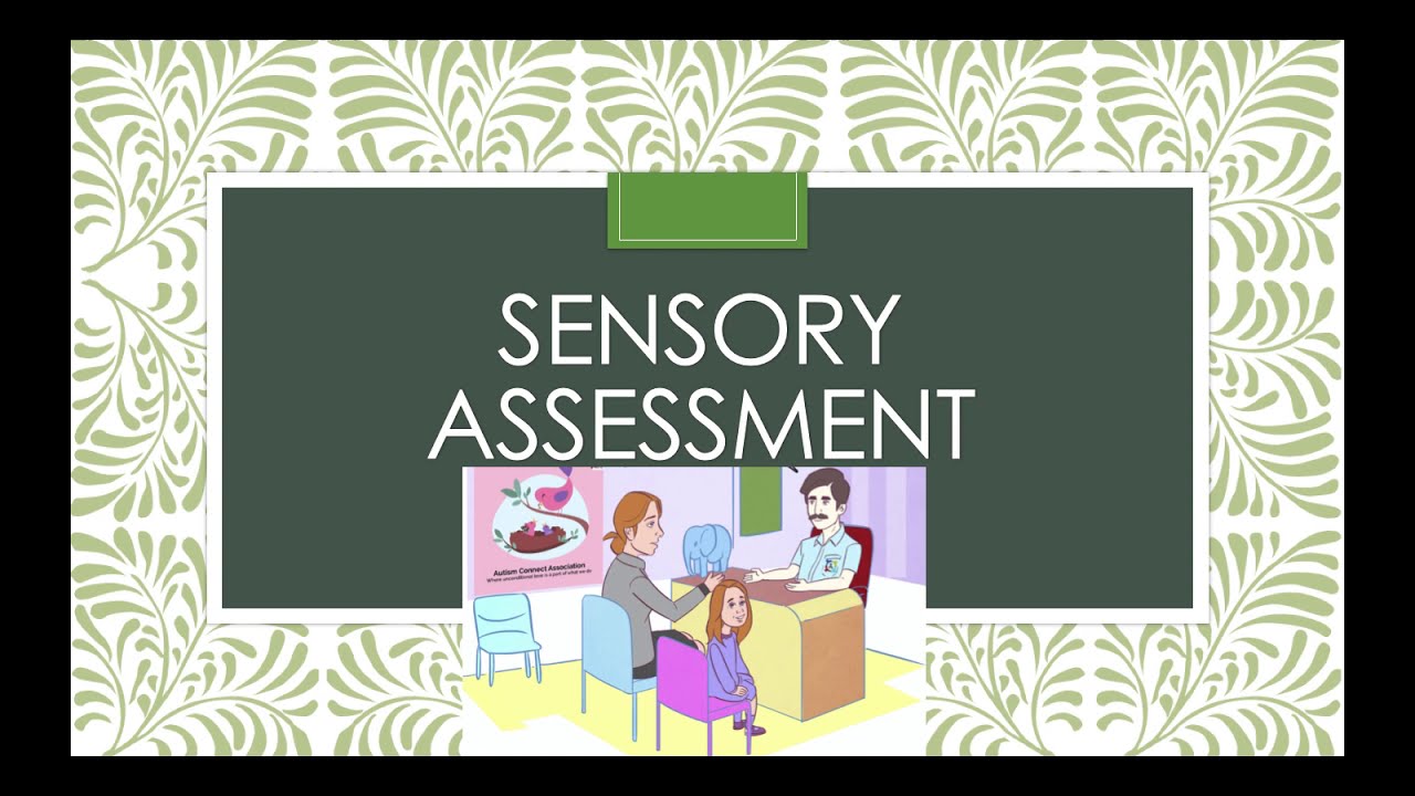 Sensory Assessment PPT - YouTube